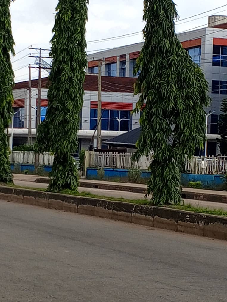 Benin City Insider Guide